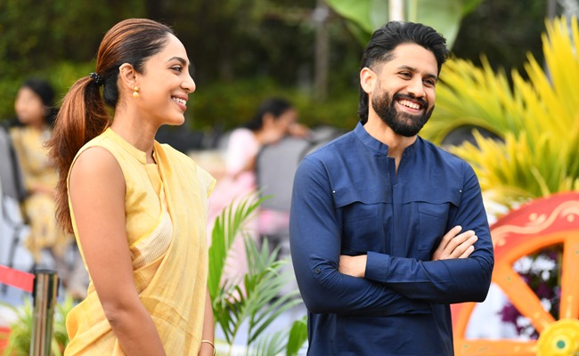Pic Talk: Chay, Sobhita's Double Celebrations | greatandhra.com
